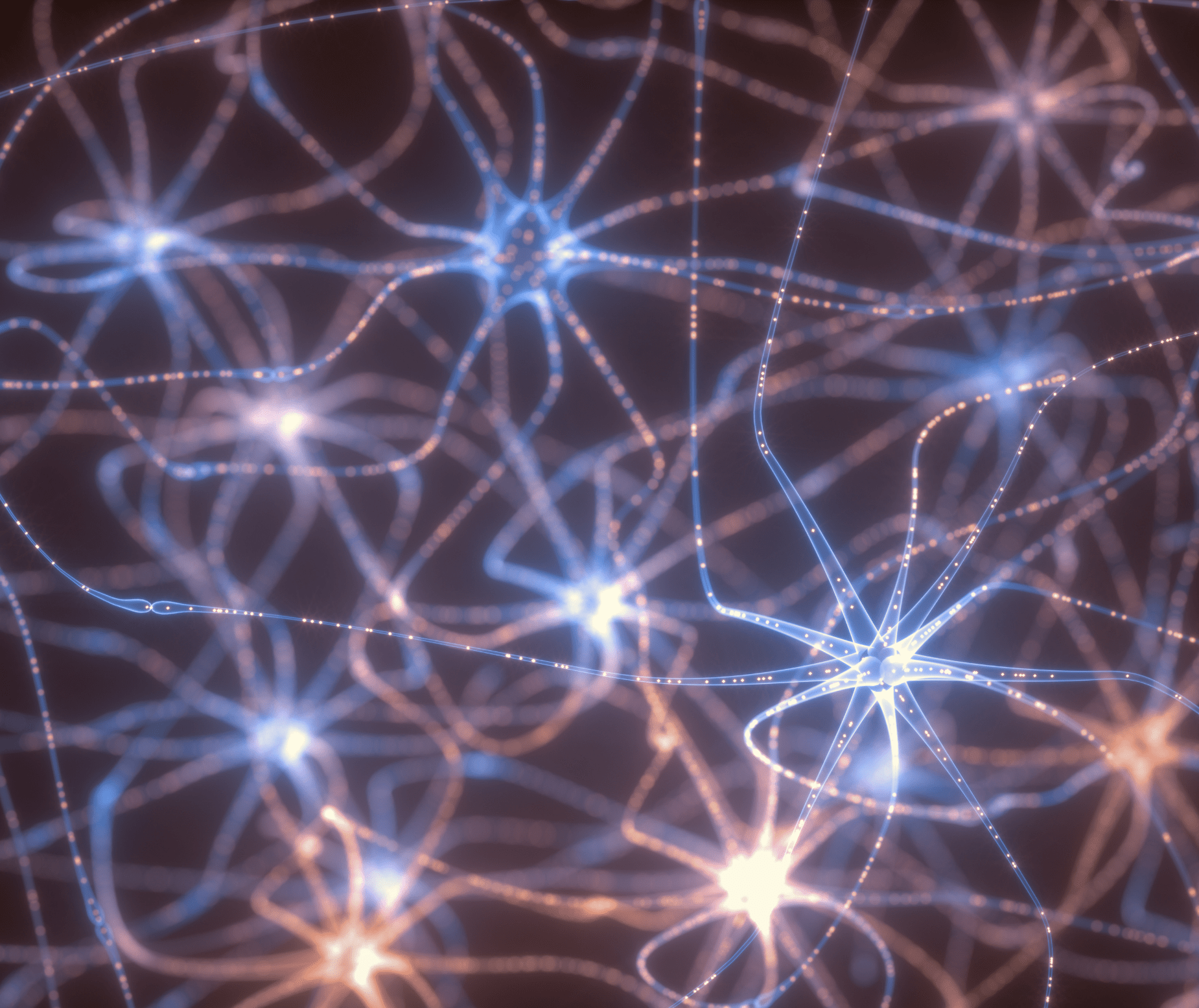 CB1 and CB2 Receptors: The Locks That Cannabinoid Keys Open