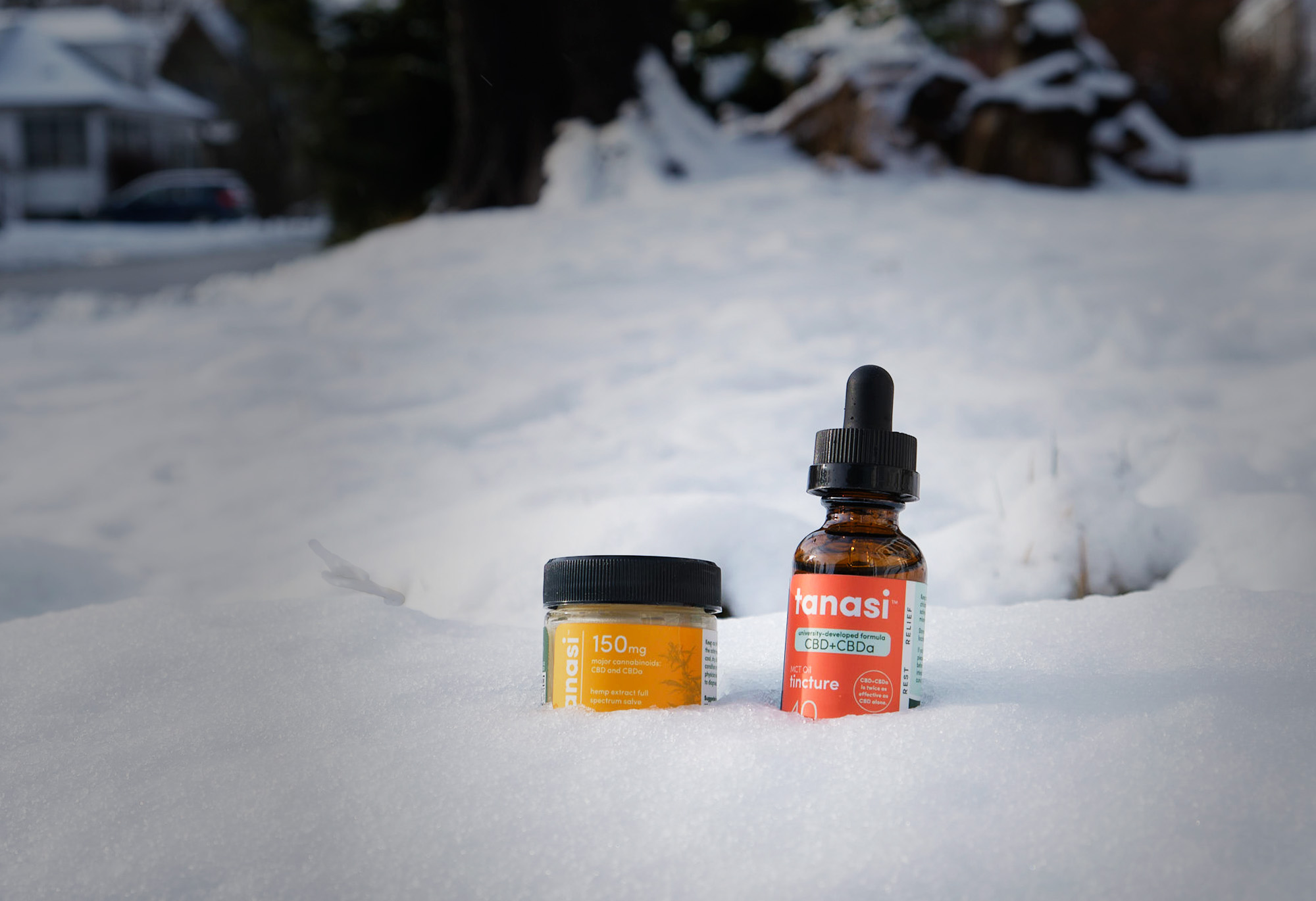 What is bioactivity | Bioactivity vs Bioavailability | CBD Bioactive